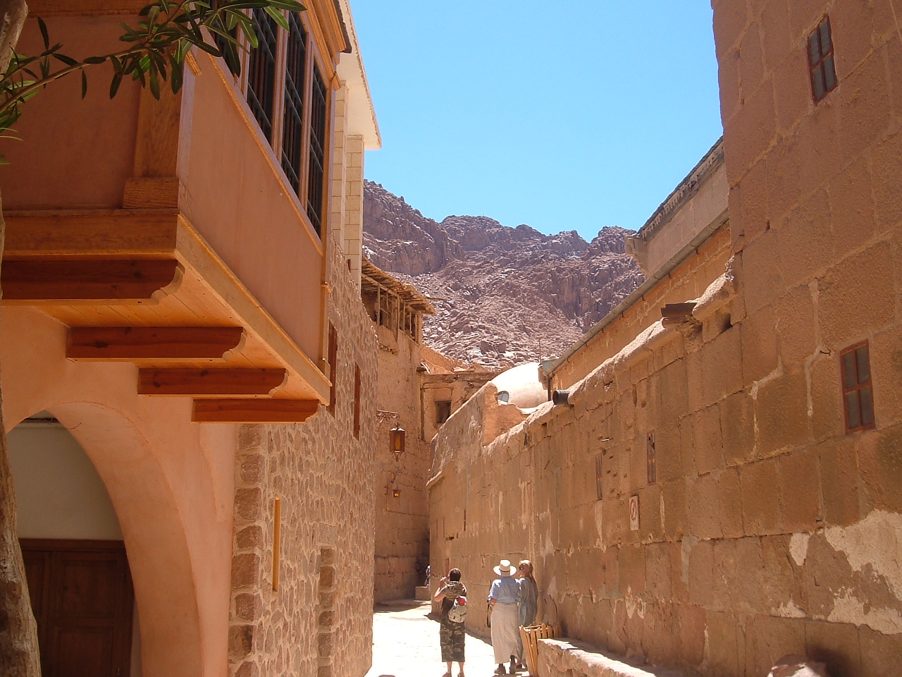 Sinai | Shepherd Travel